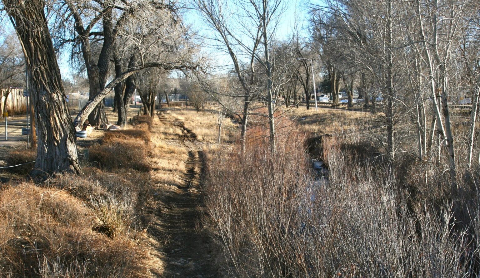 Gallinas River – Off the Road New Mexico